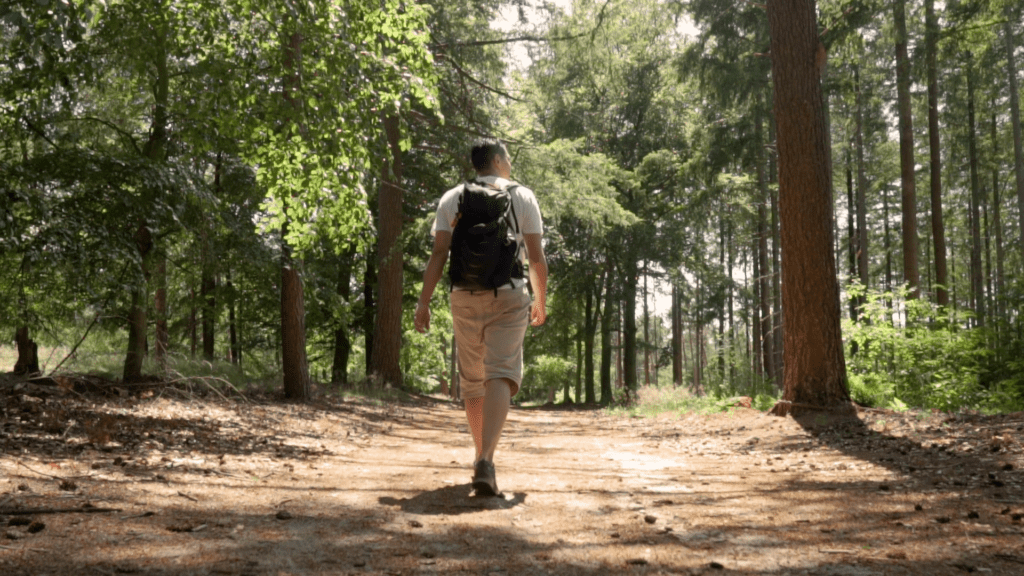Qué es lo que se puede aprender de la soledad